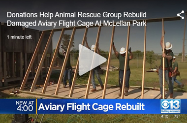 CBS News / Aviary Flight Cage Rebuilt – Wells Construction